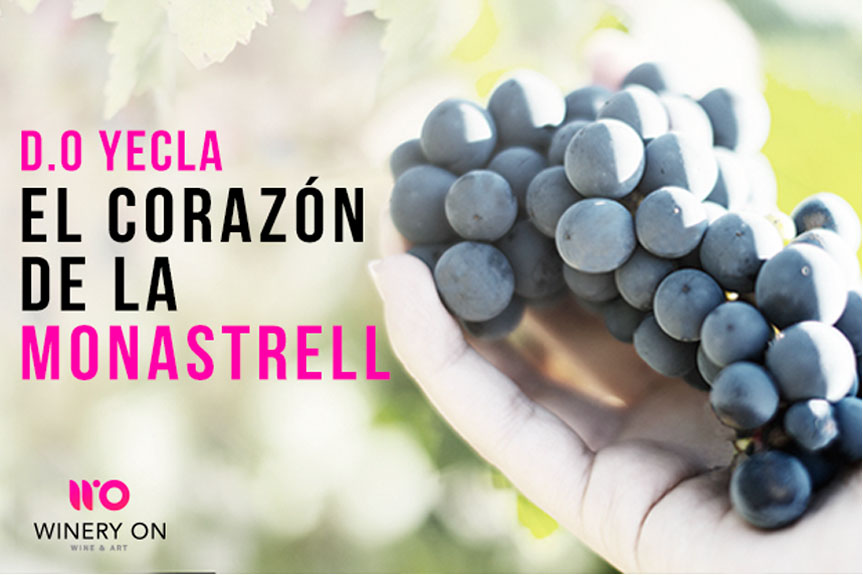 Diferencia entre la monastrell y el resto de variedades de uva